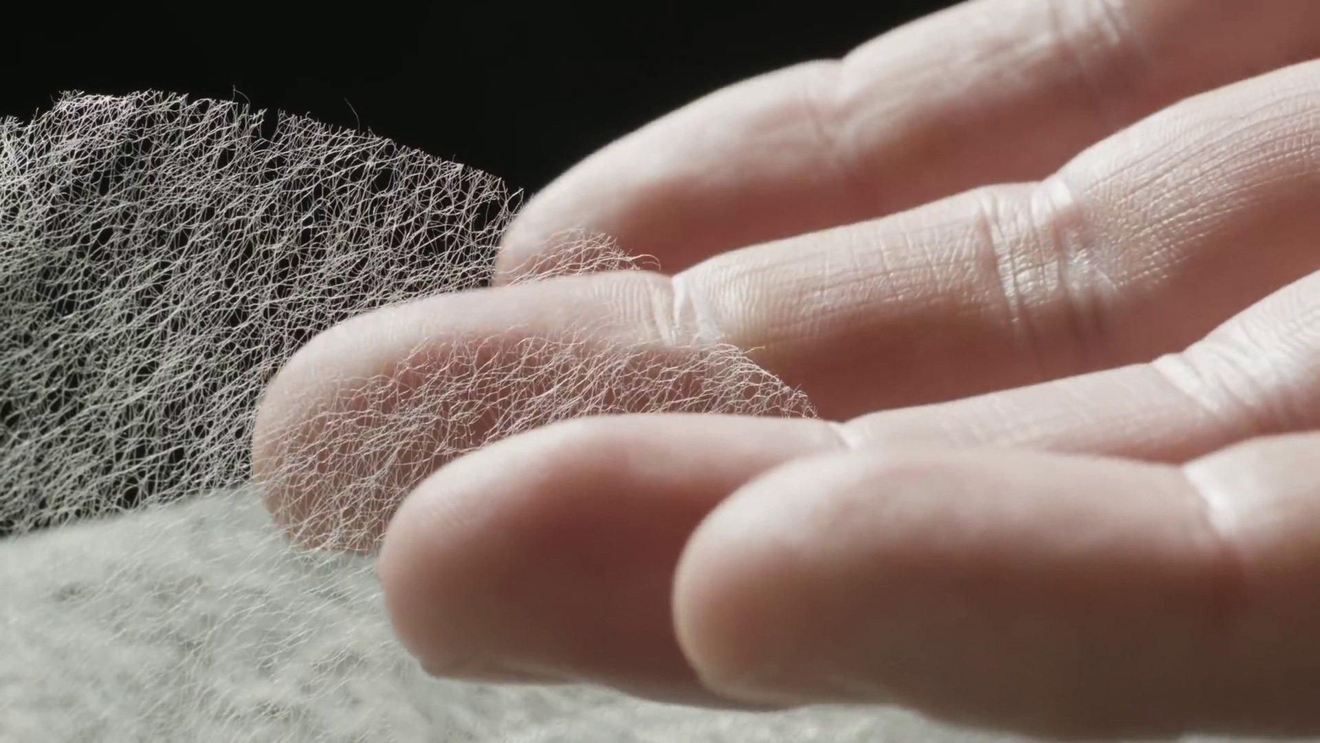 Tissue – Imthiaz Dharker | THE GCSE & GCE ENGLISH PORTAL